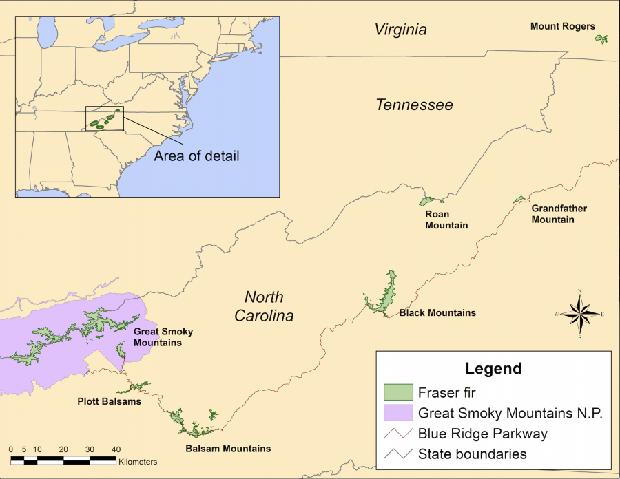 After decades of devastation, a comeback for western NC forests - UNC ...