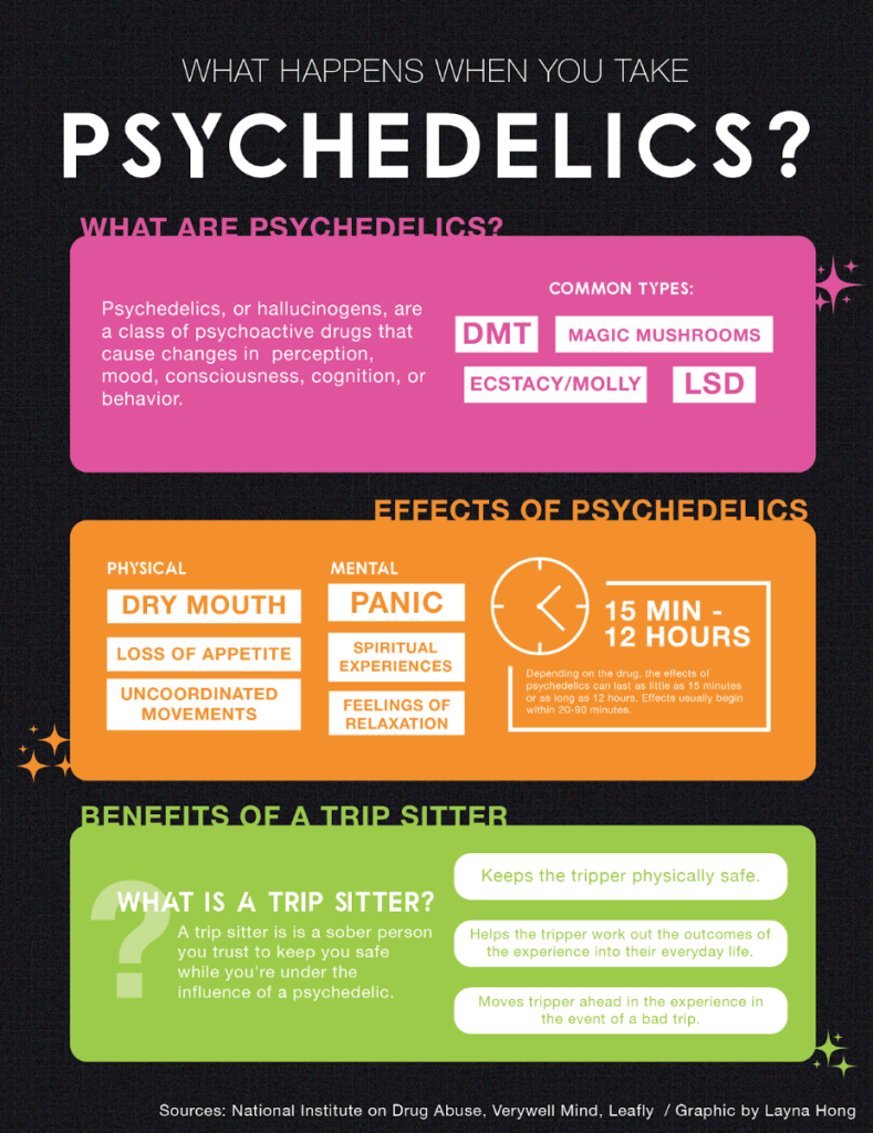 Trip sitting: An underground industry responds to psychedelic boom ...