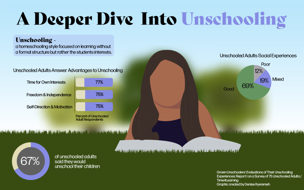 Inside the alternative homeschooling movement: what happens when play ...