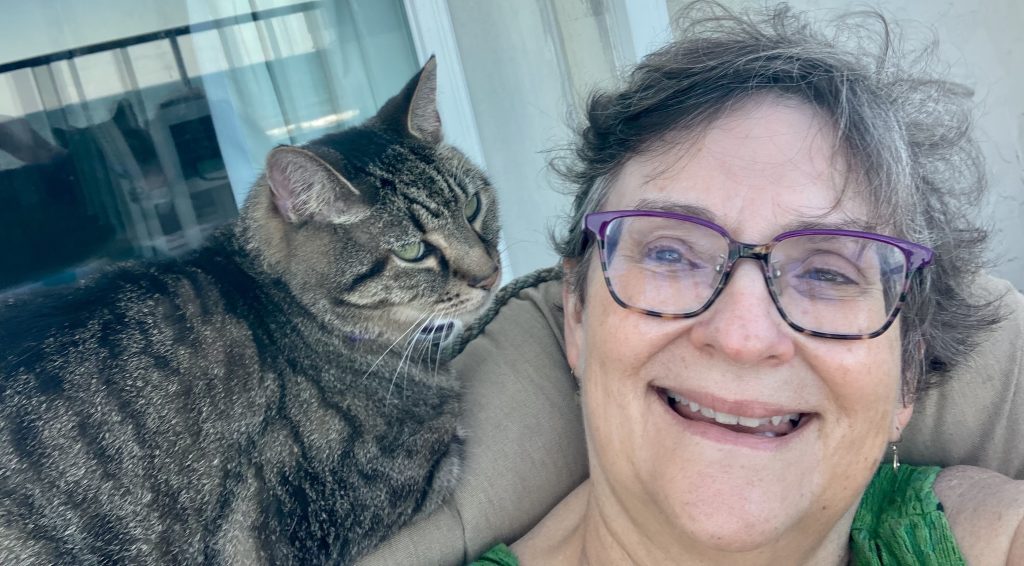 The cat that got lost on the way to college - UNC Media Hub
